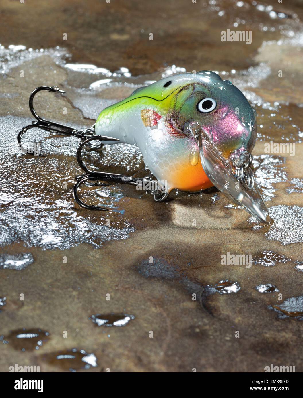 Colorful fishing lure on a rock surface with water Stock Photo - Alamy