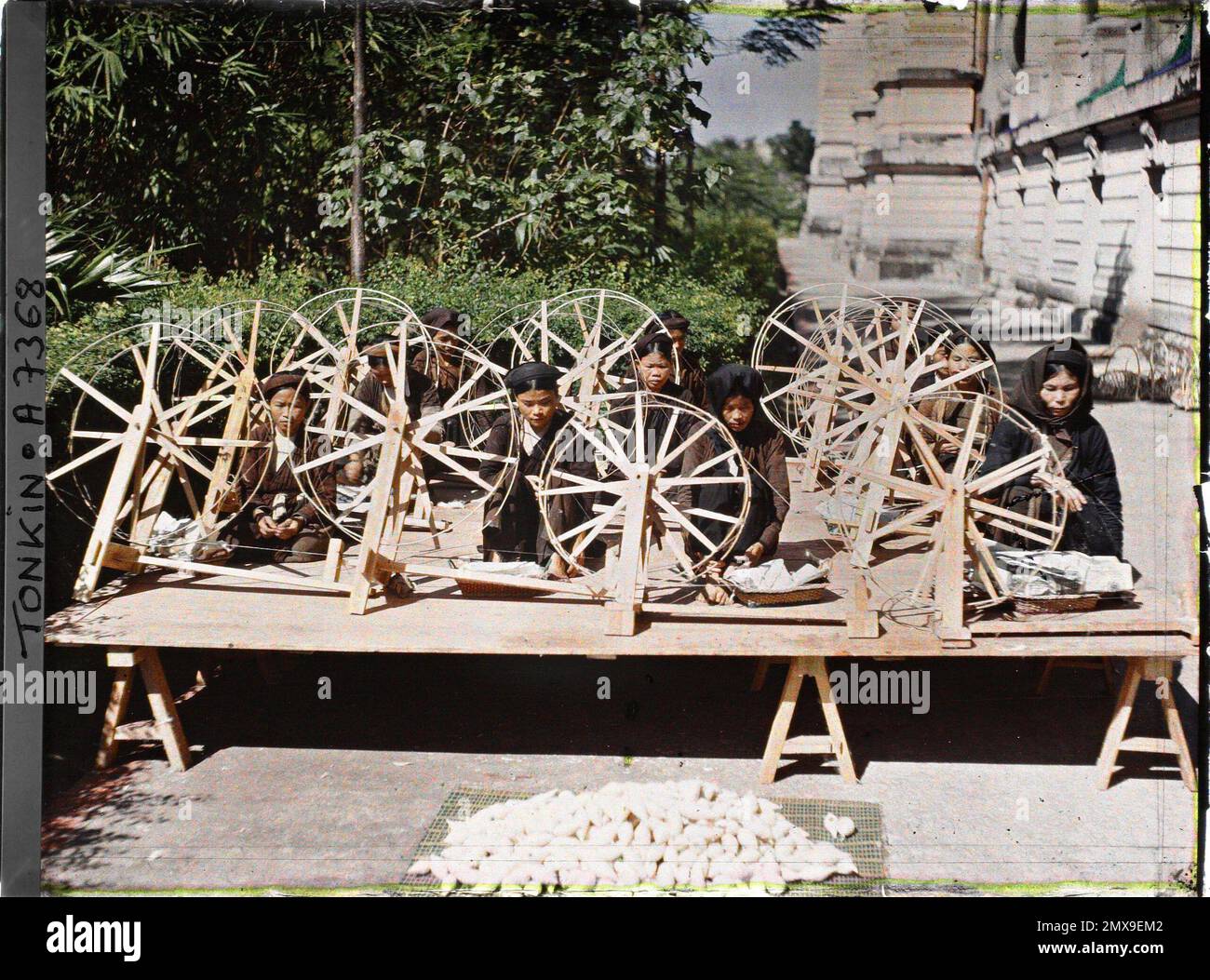 Kapok spinning hi-res stock photography and images - Alamy