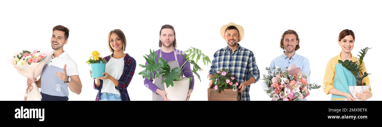 Collage of florists with plants on white background. Banner design ...