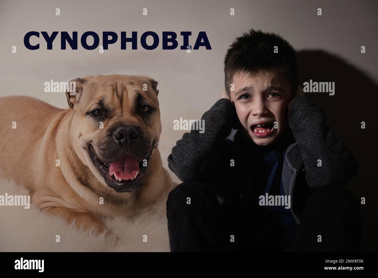 Scared little boy suffering from cynophobia on beige background ...