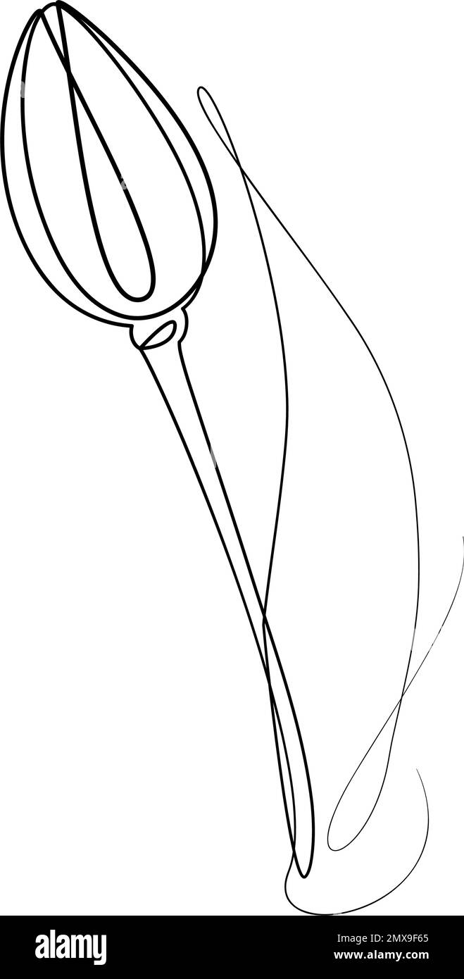 Clip Art Flowers Outline