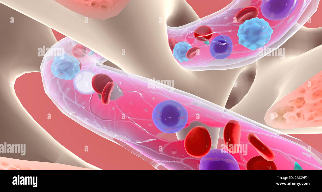 Human leukemic cells hi-res stock photography and images - Alamy