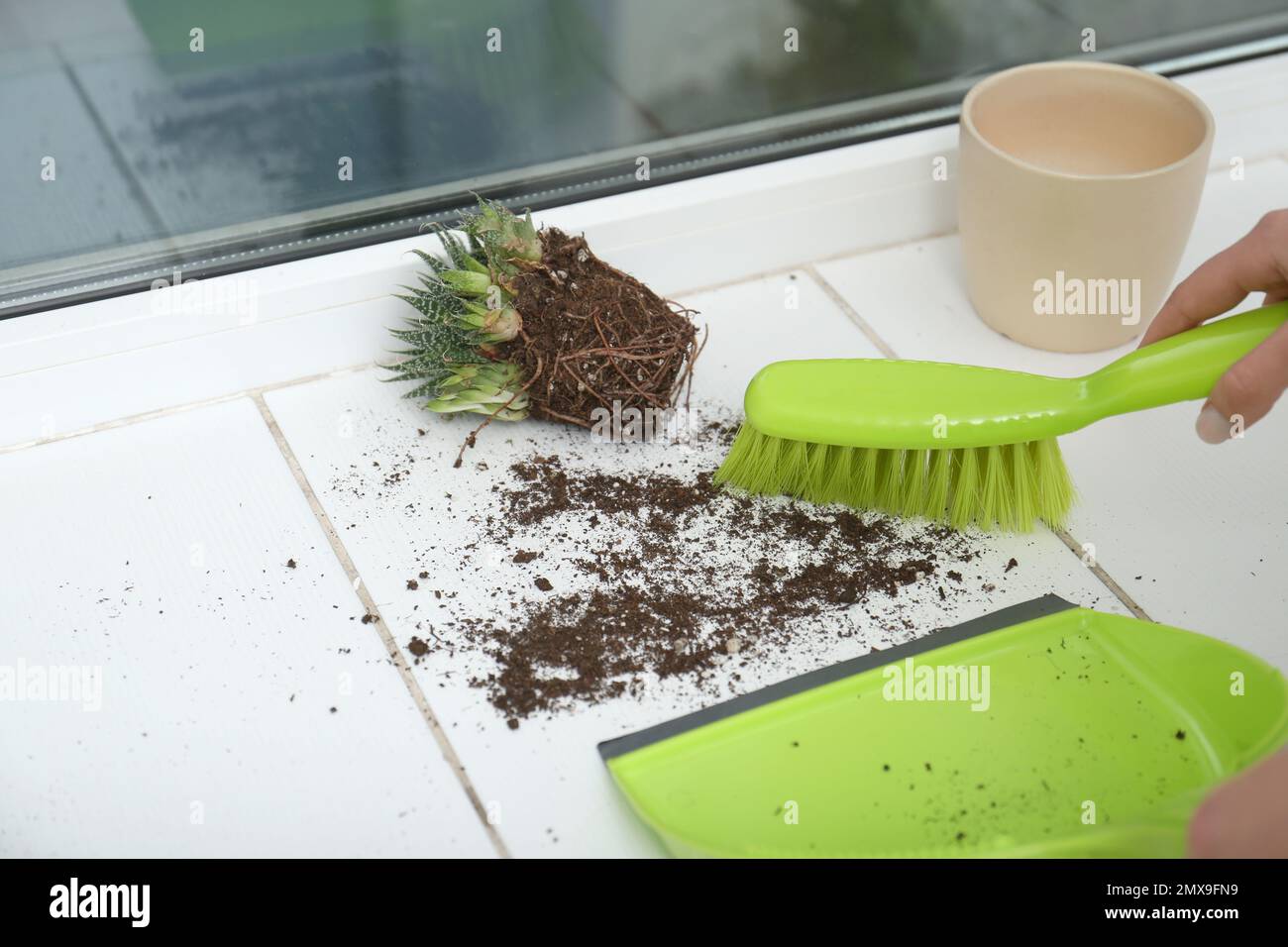 Woman sweeping away scattered soil from window sill with brush, closeup ...