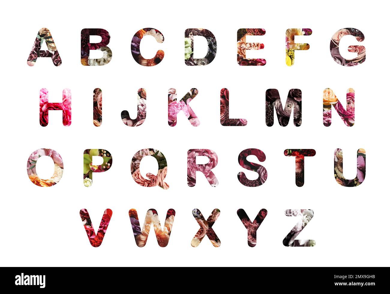 Alphabet letters made of flowers on white background Stock Photo - Alamy
