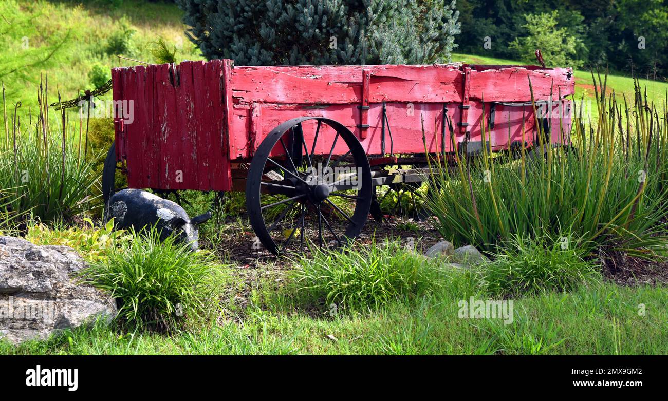 Rustic, antique, wooden wagon is red with black, steel wheels. Black ...