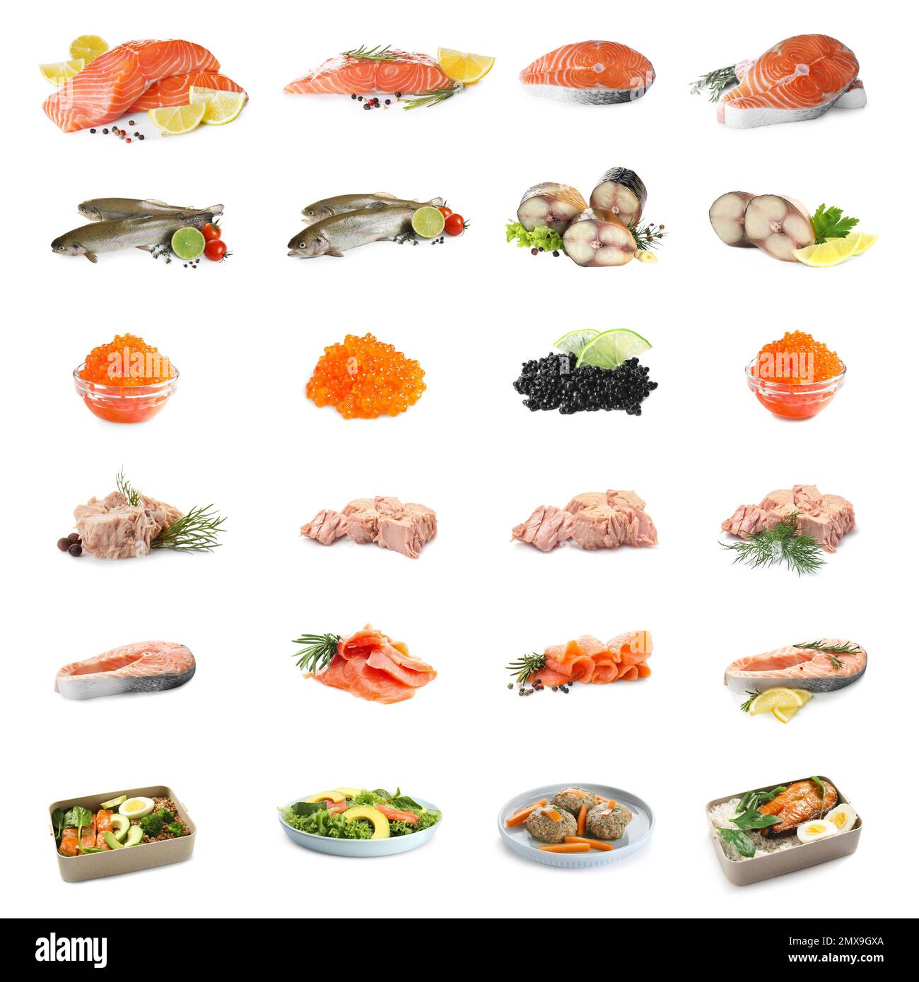 Set of different seafood on white background. Fish delicacy Stock Photo ...