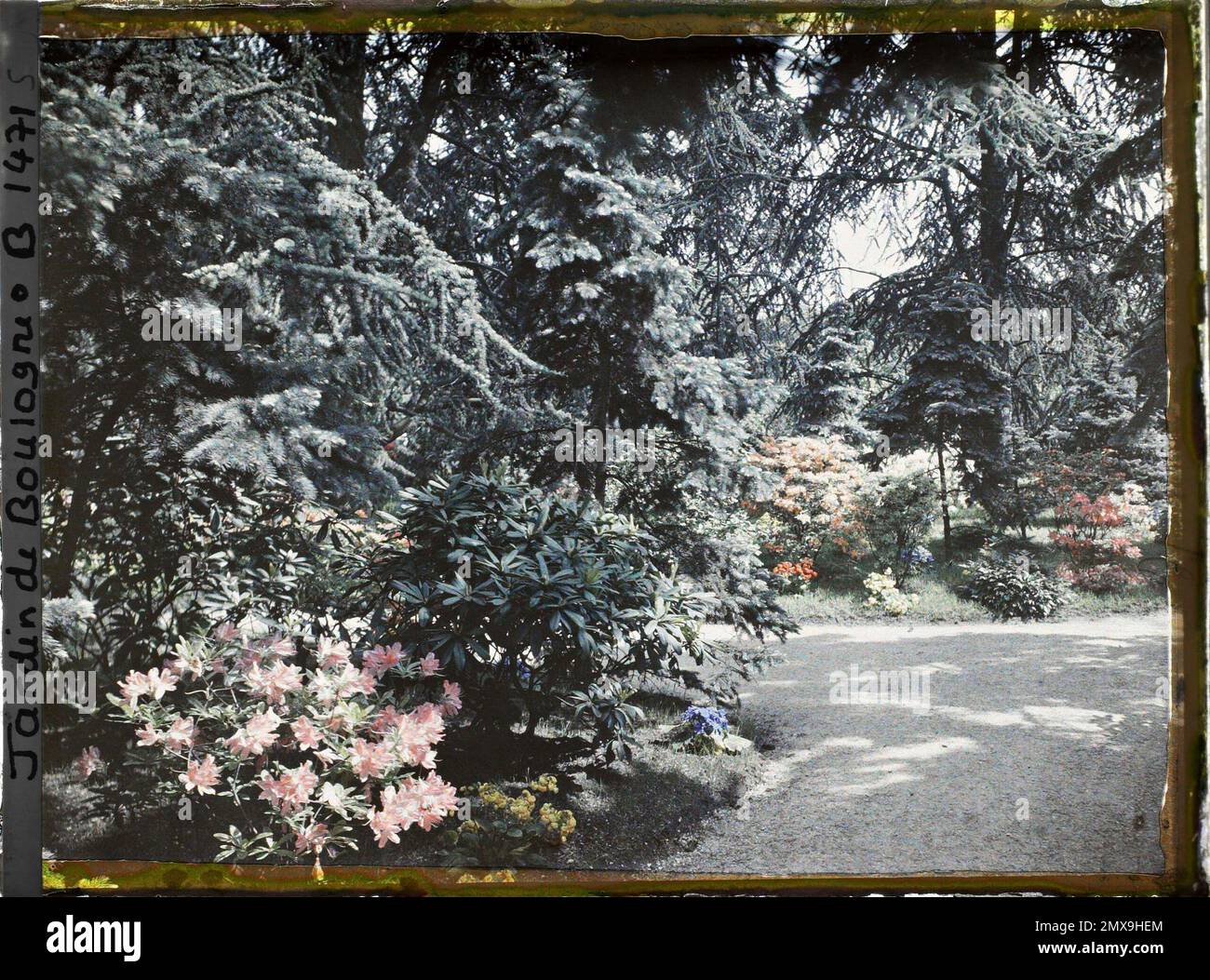 Property of Albert Kahn, Boulogne, France an alley in the blue forest ...