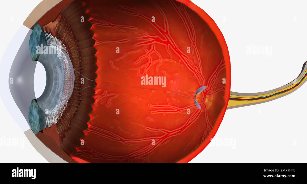Massaging ophthalmology hi-res stock photography and images - Alamy