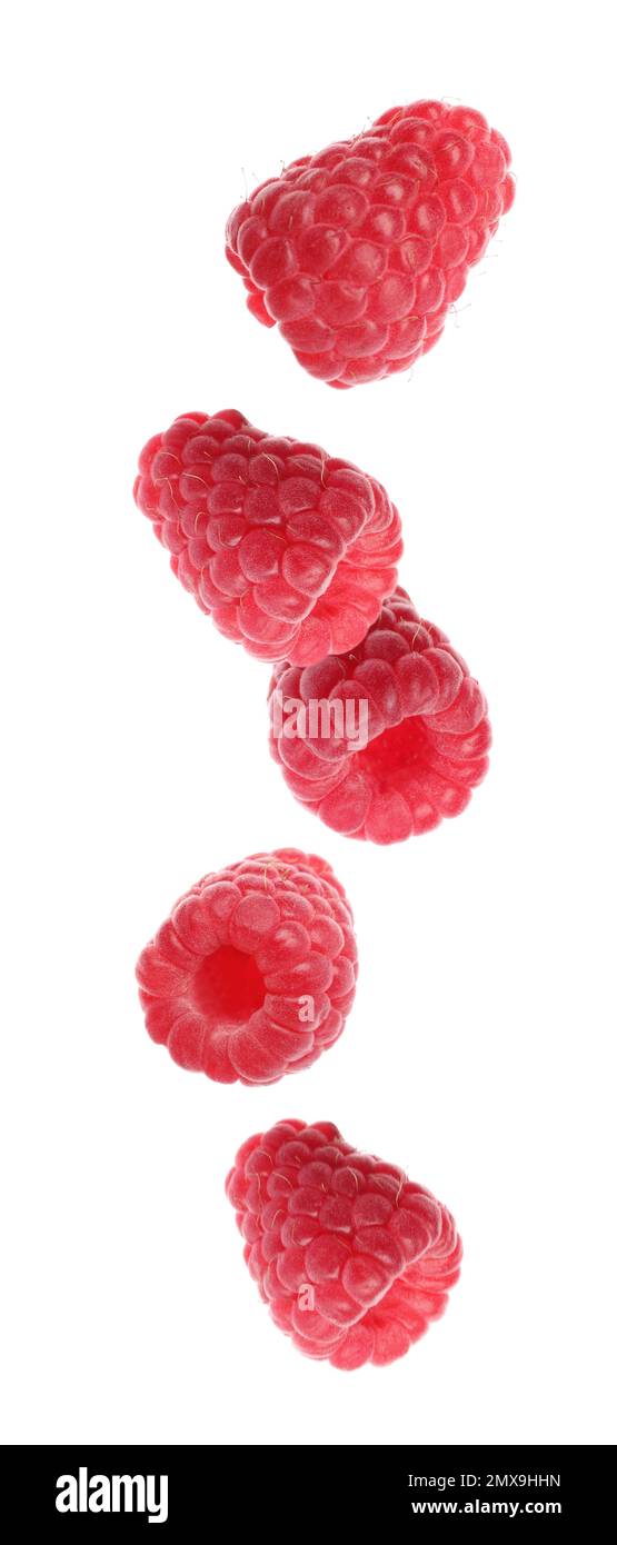 Set of falling sweet raspberries on white background Stock Photo - Alamy