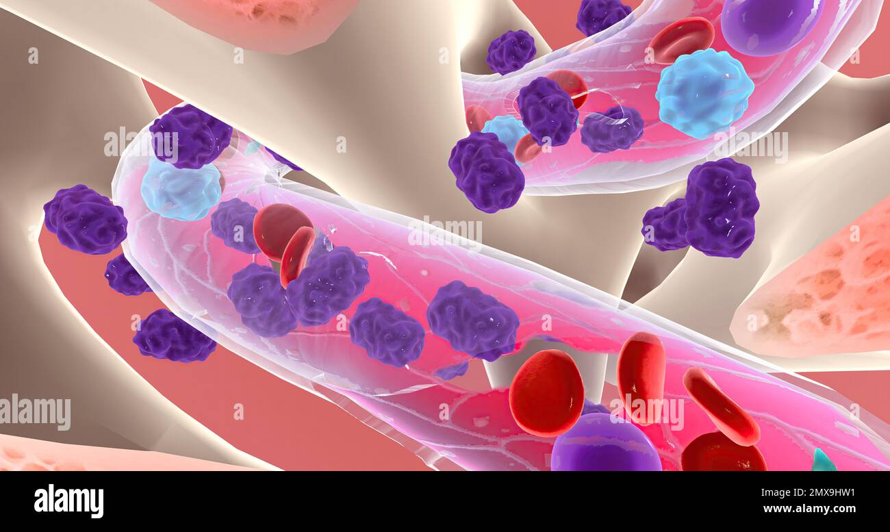 Red blood cells production hi-res stock photography and images - Alamy