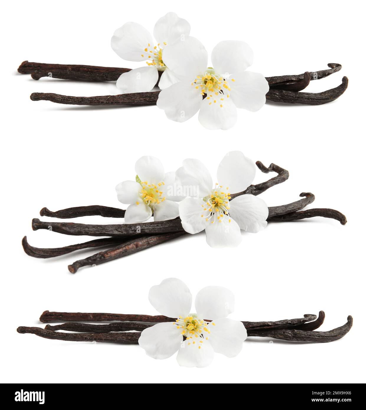 Set with aromatic vanilla pods and flowers on white background Stock ...