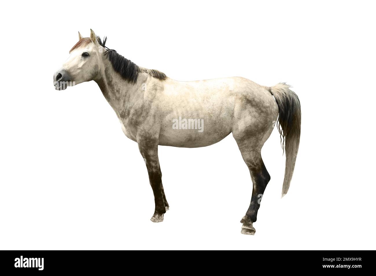 Beautiful view hills farm Cut Out Stock Images & Pictures - Alamy