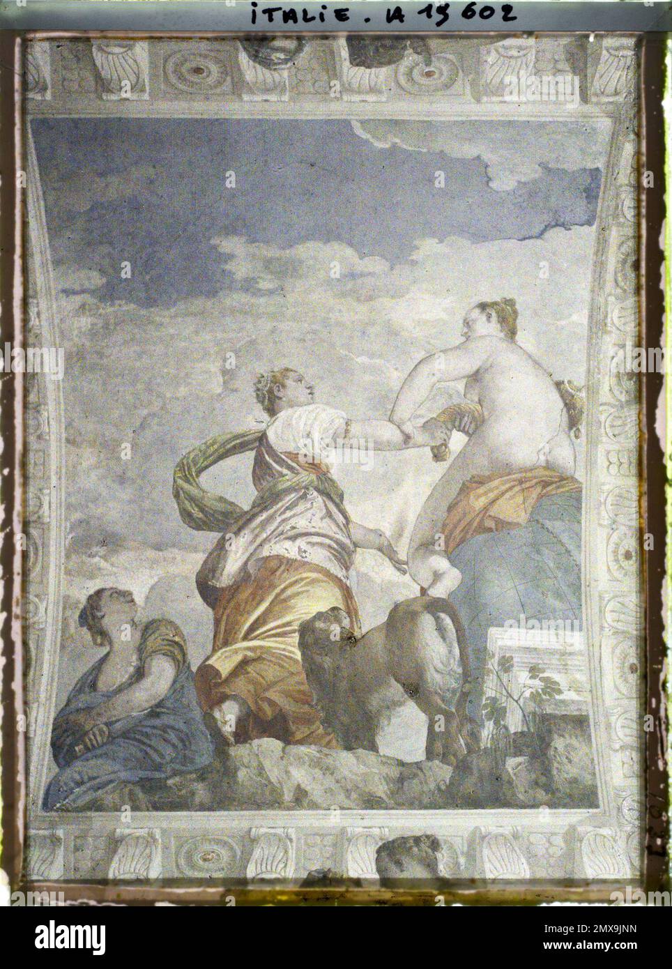 Animal represented fantastic animal interior view painted decor hi-res ...