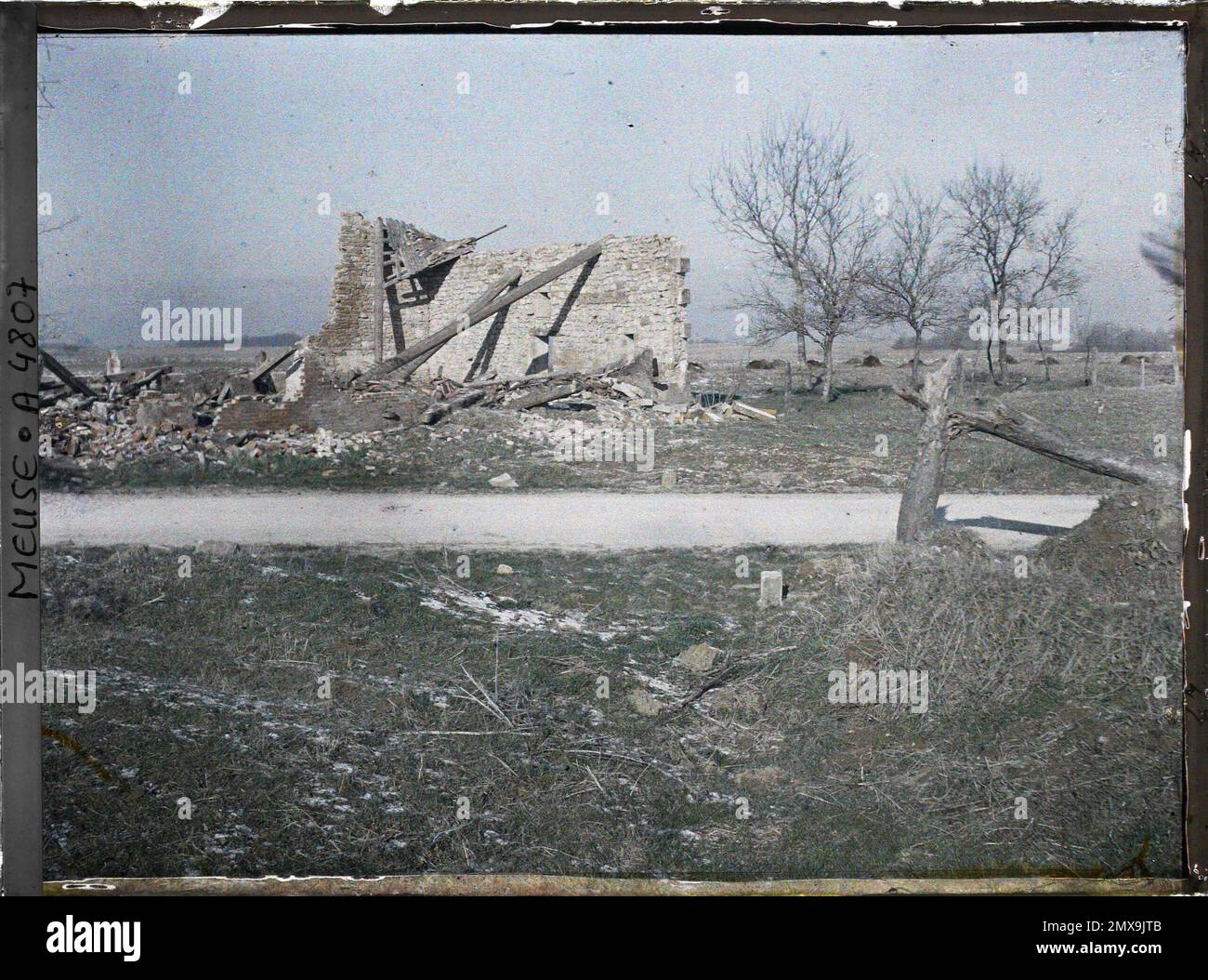 Vassincourt, Meuse, Lorraine, France house in ruins and cut tree , 1914 ...
