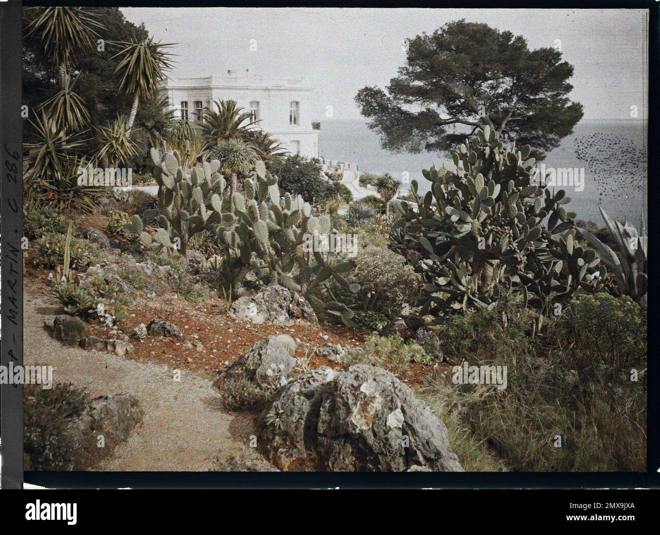 Cap Martin , France , 1913 - Cap Martin - Auguste Léon - (March Stock ...