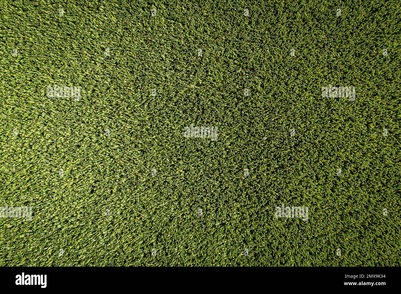 Artifical grass turf background texture from an overhead position Stock ...