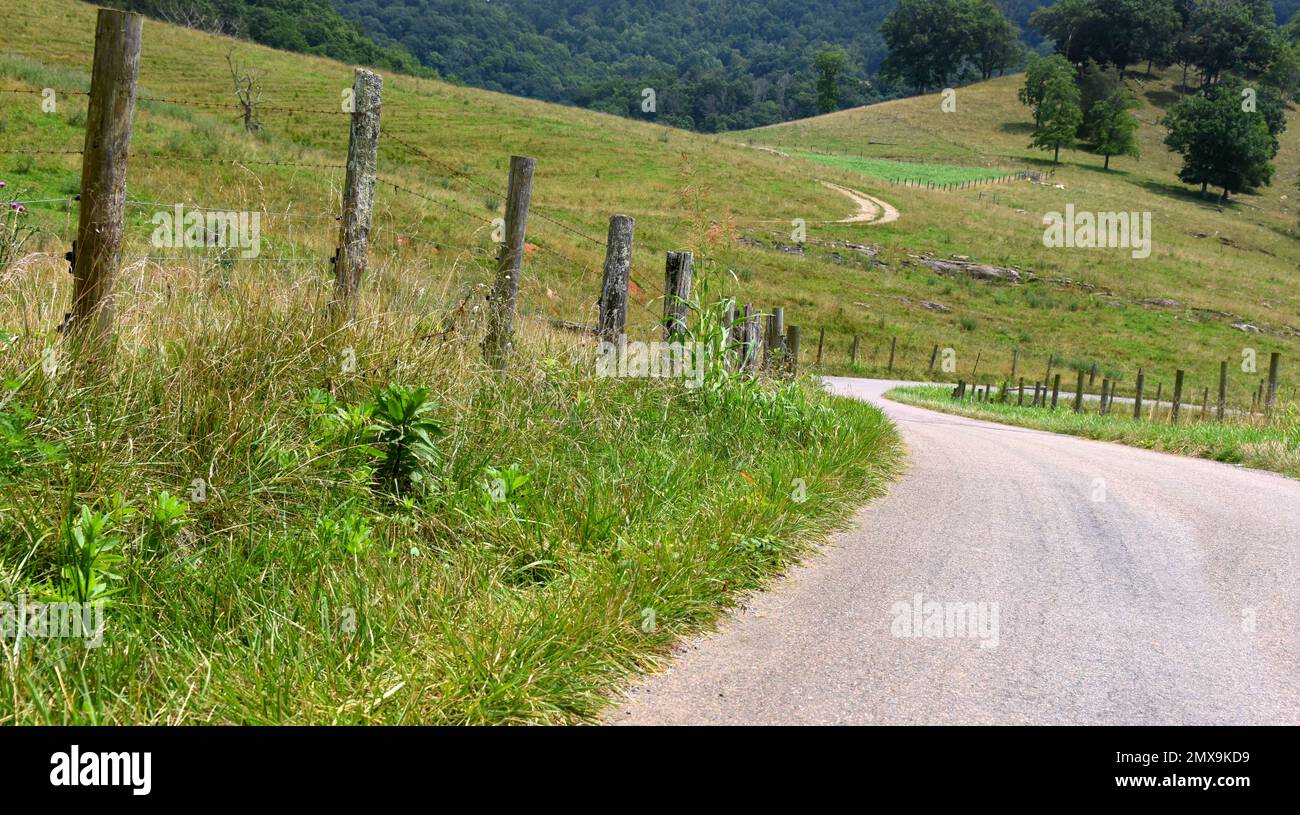 Curving, country road winds between fenced in pasture in the ...