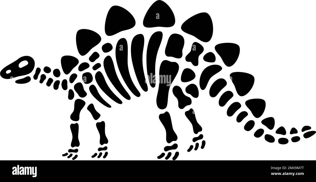Stegosaurus skeleton. Stegosaurus fossil body parts. Dinosaur bones ...