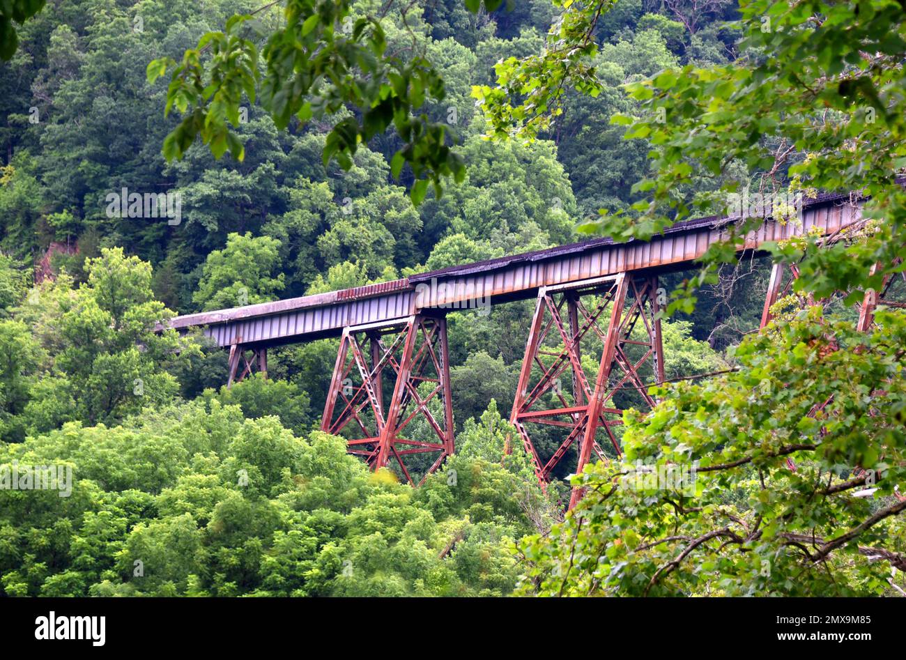 Rustic, railroad bridge stands high over the Clinch River in Virginia ...