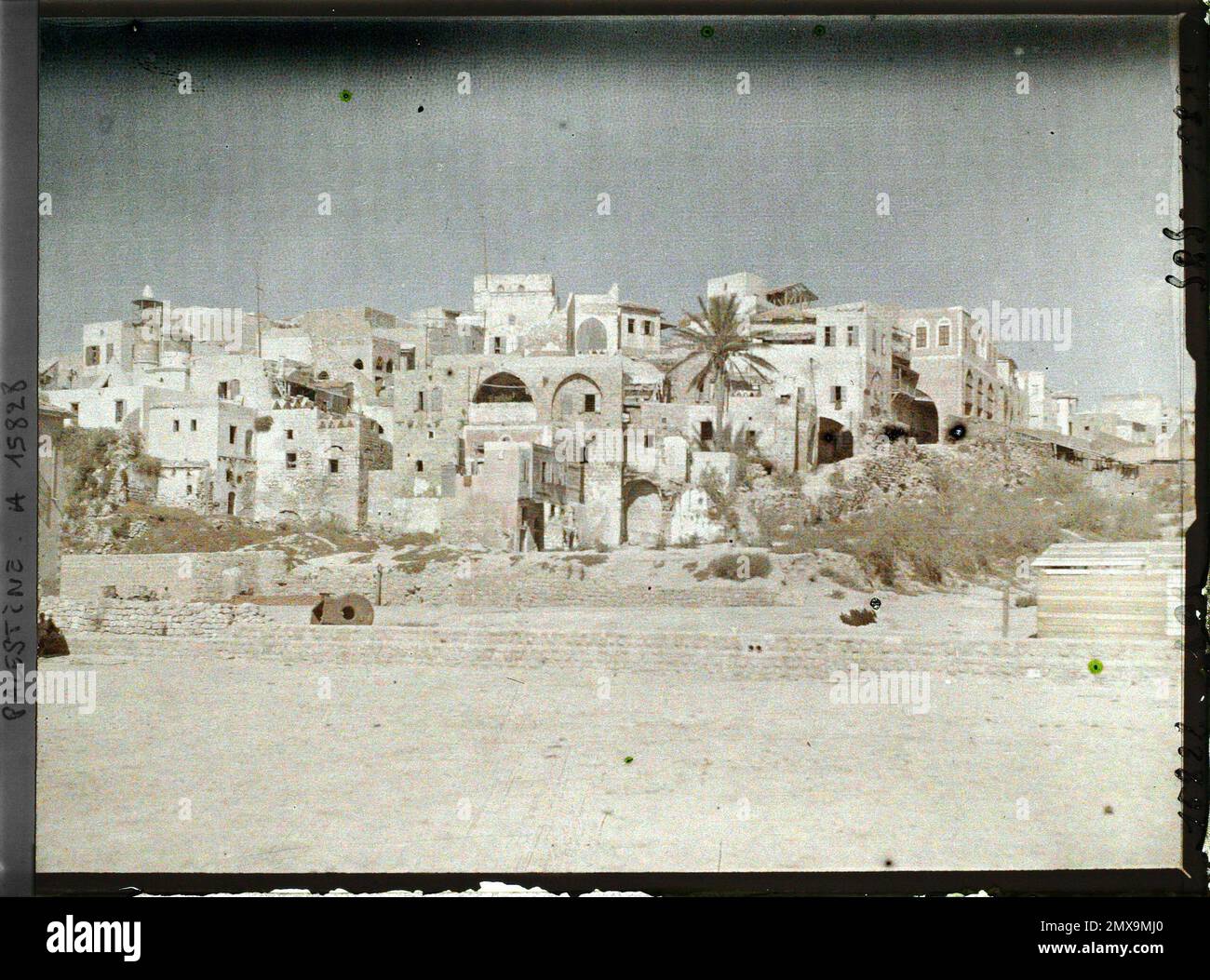 Jaffa, Palestine seen from the city , 1918 - Near East, Egypt ...