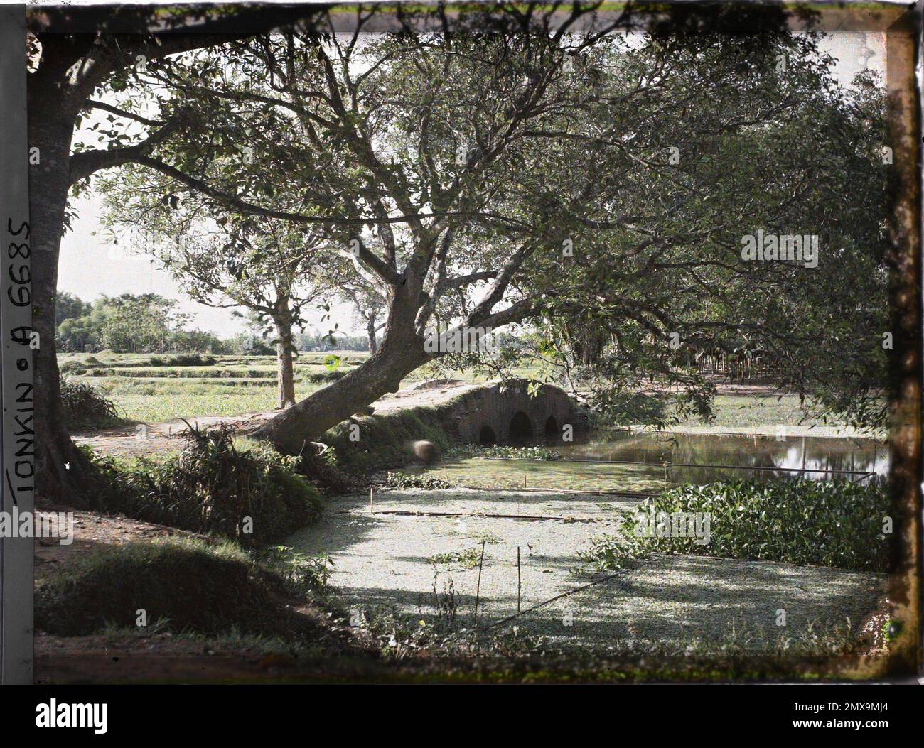 Village of Dinh-Công, province of Hà-Dông, Indochina a landscape with a ...