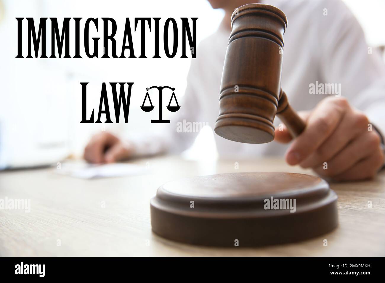 Judge with gavel at table in courtroom, closeup. Immigration law ...