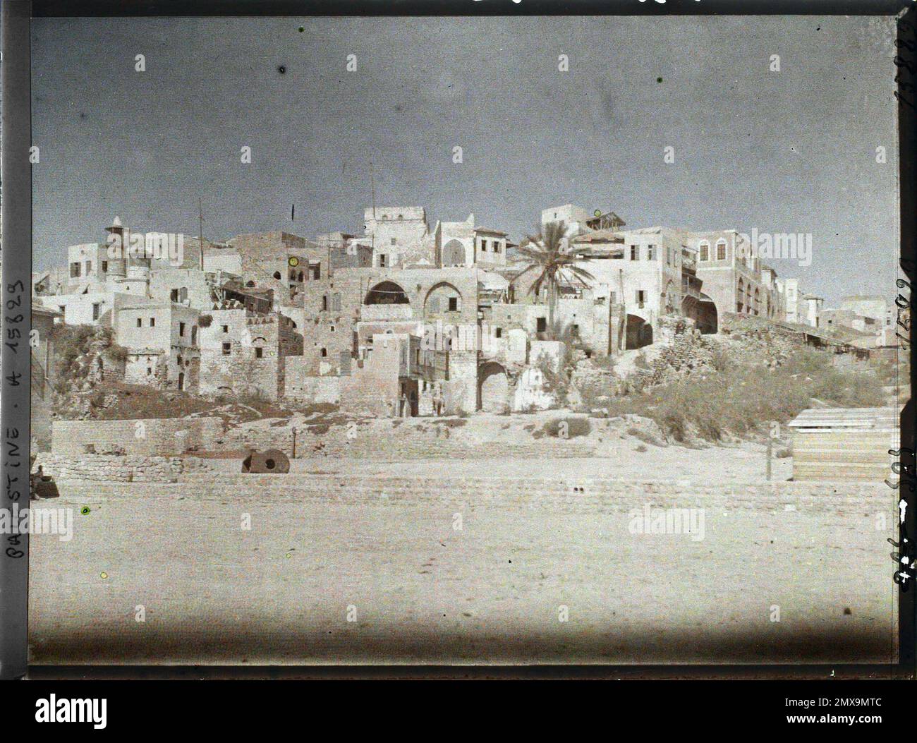 Jaffa, Palestine seen from the city , 1918 - Near East, Egypt ...