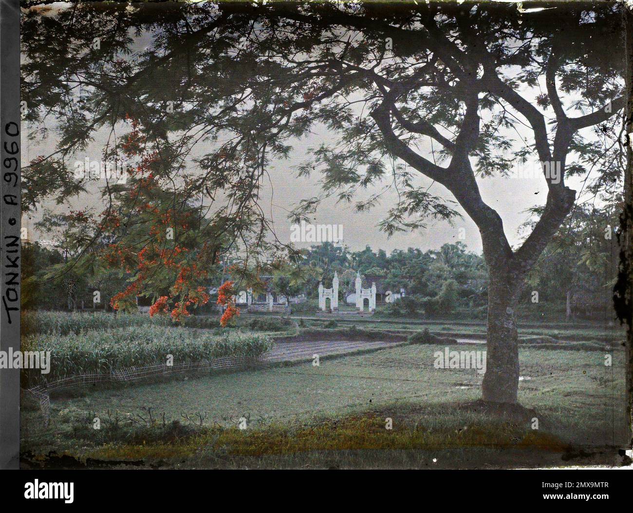 Village of Yên-Thai, surrounded by Hà-Nôi, Tonkin, Indochine a rural ...