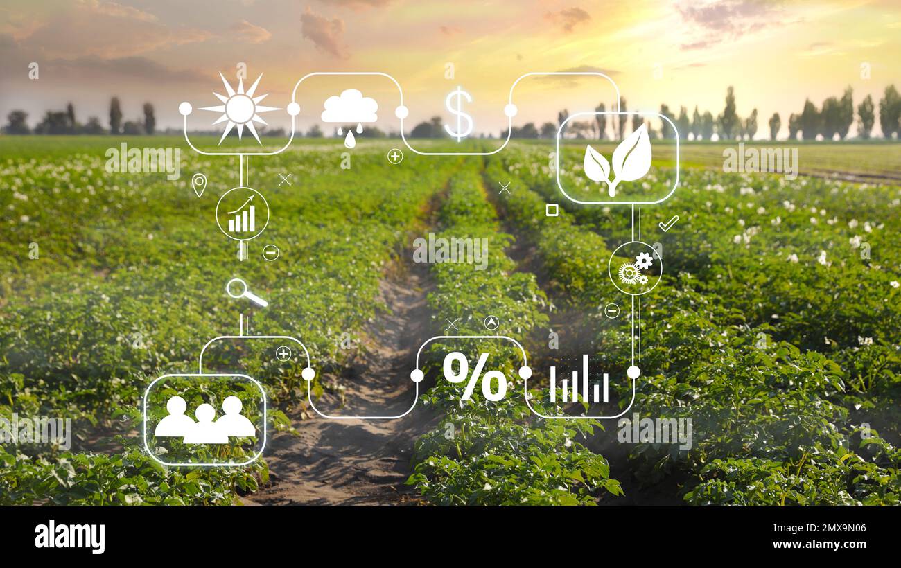 Modern agriculture concept. Icons and field on background Stock Photo ...