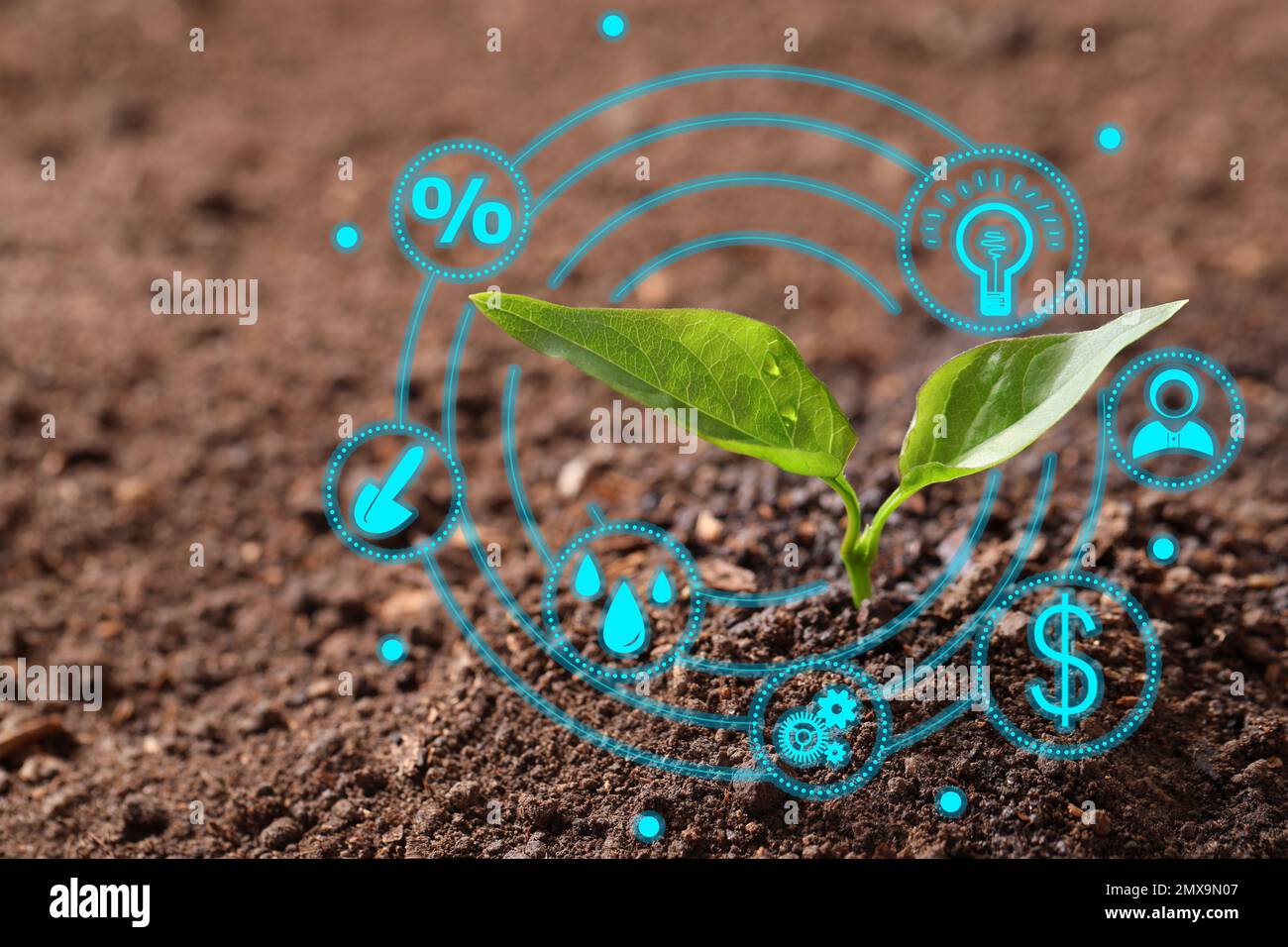 Modern technology in agriculture. Green seedling and icons Stock Photo ...