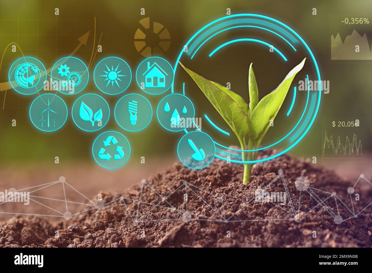 Modern technology in agriculture. Green seedling and icons Stock Photo ...
