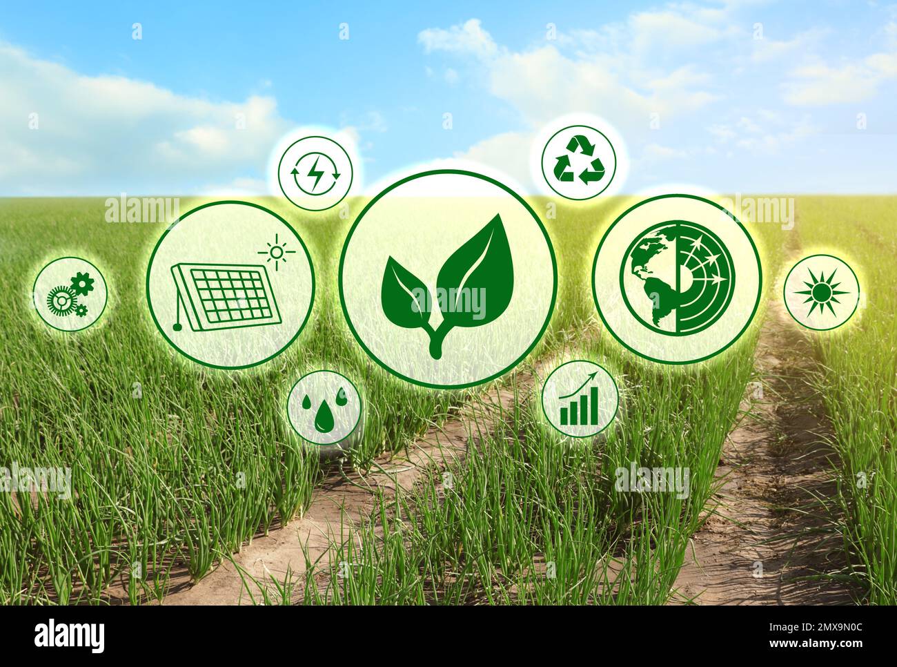 Modern agriculture concept. Icons and field on background Stock Photo ...