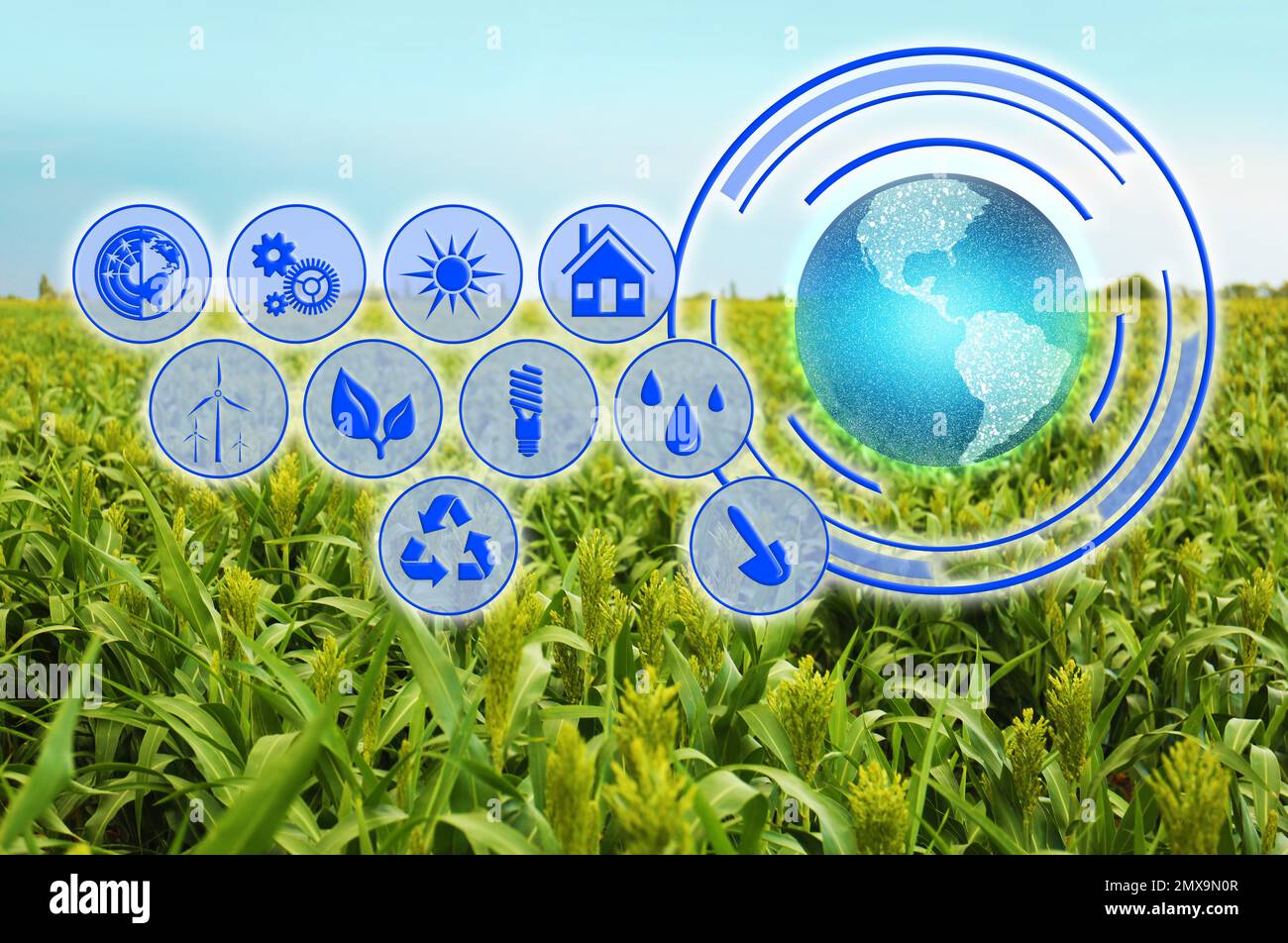 Modern agriculture concept. Icons and field on background Stock Photo ...