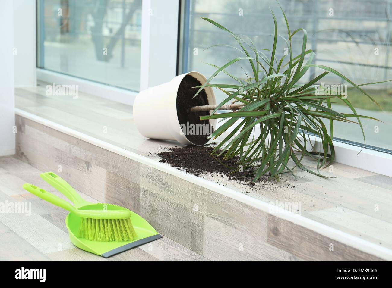 Overturned pot with plant on window sill Stock Photo - Alamy