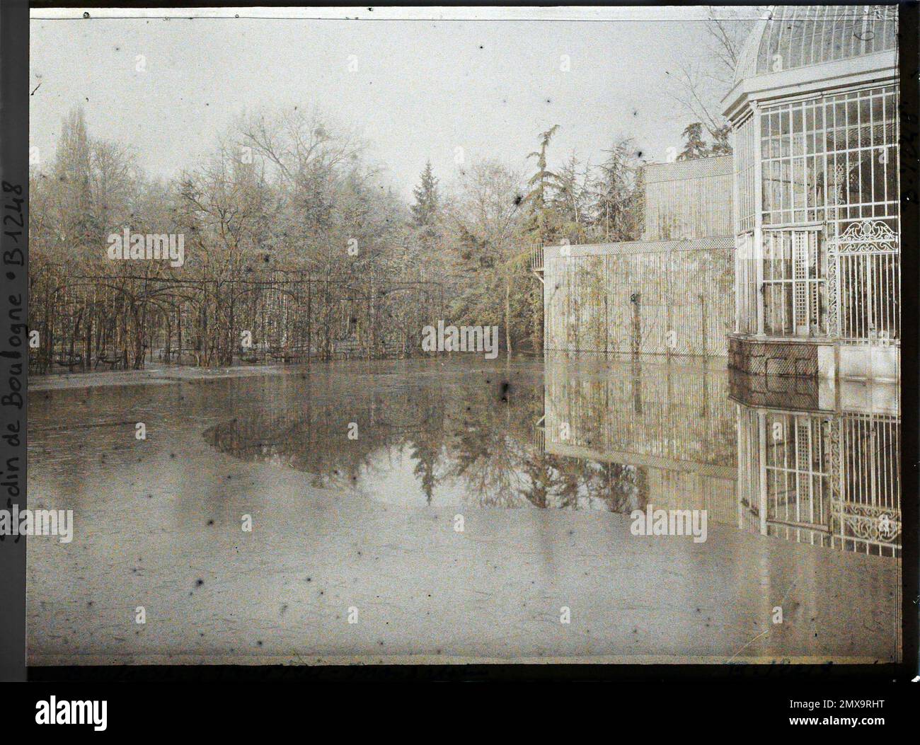 Natural phenomenon flood park garden nature environment habitat ...