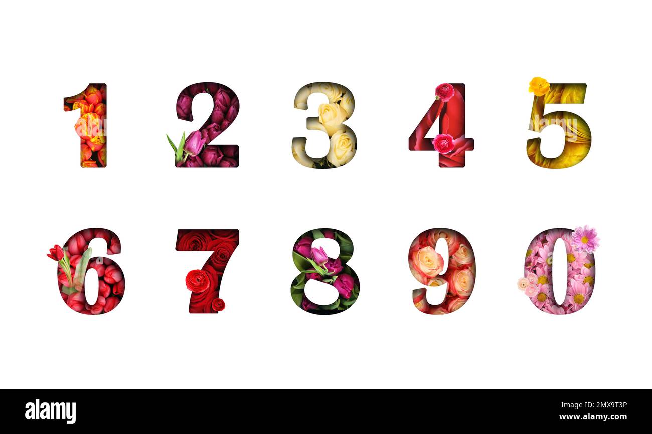 Flower texture study Cut Out Stock Images & Pictures - Alamy