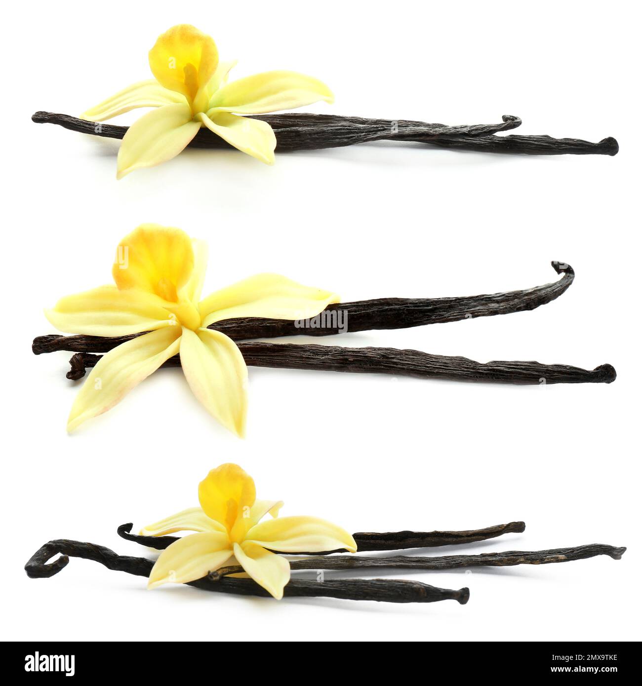 Set with aromatic vanilla pods and flowers on white background Stock ...