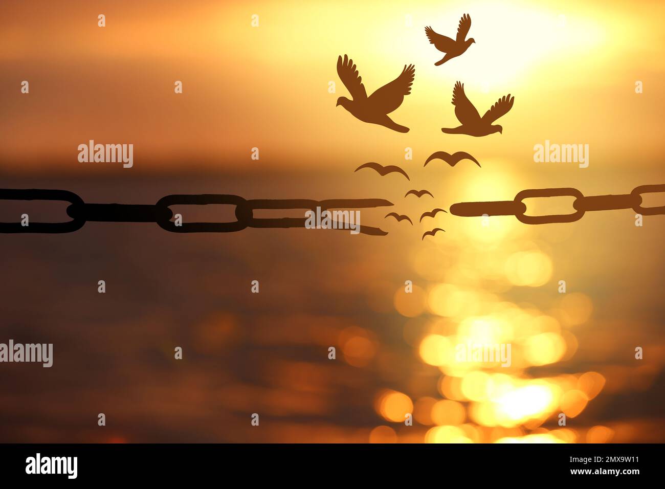Freedom concept. Silhouettes of broken chain and birds flying over sea ...