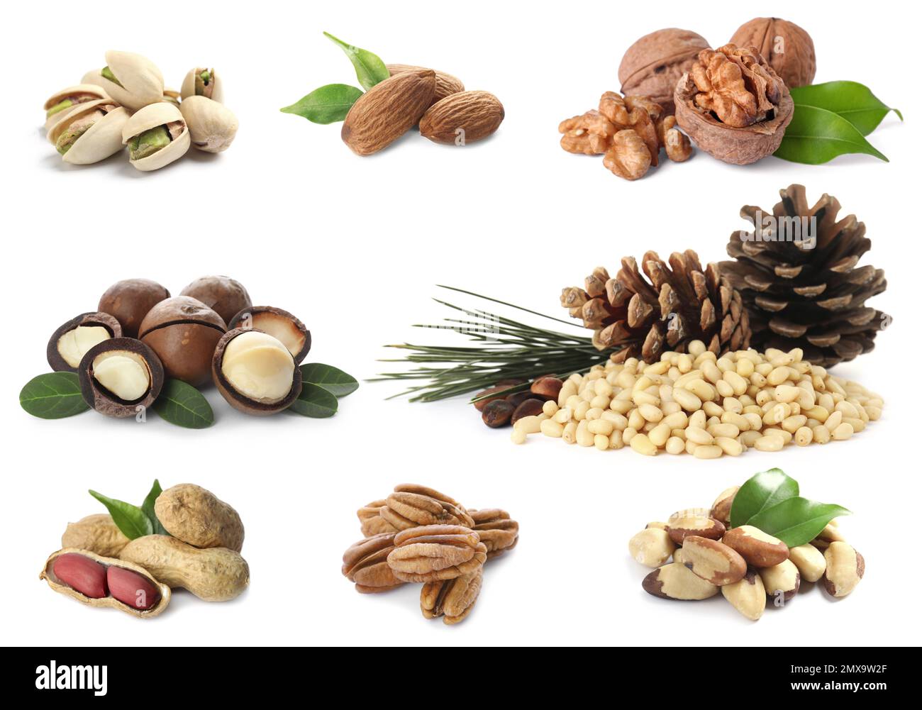 Set of different nuts on white background Stock Photo - Alamy