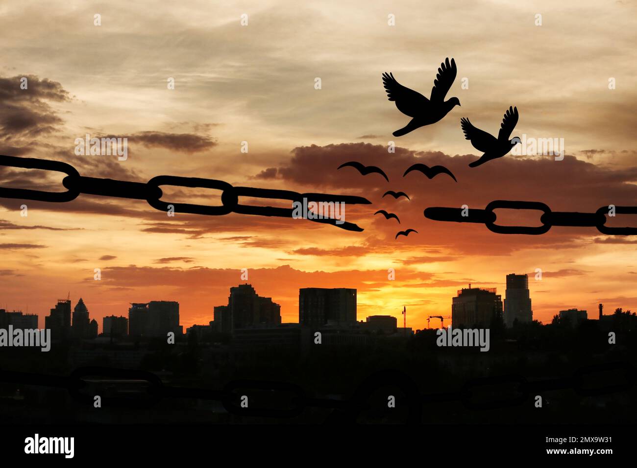 Freedom concept. Silhouettes of broken chain and birds flying outdoors ...