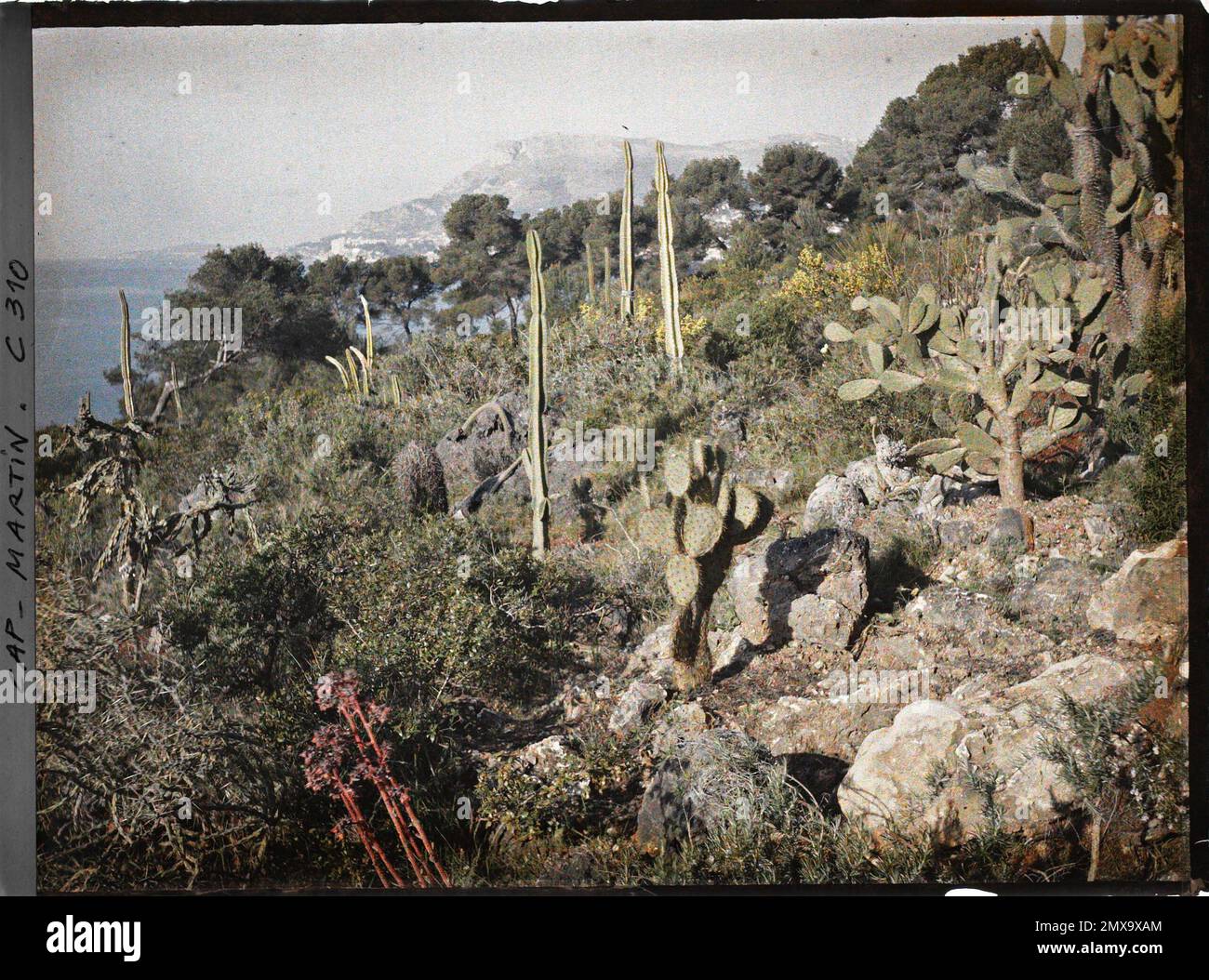 Cap Martin , France , 1914 - Cap Martin - Auguste Léon - (March Stock ...