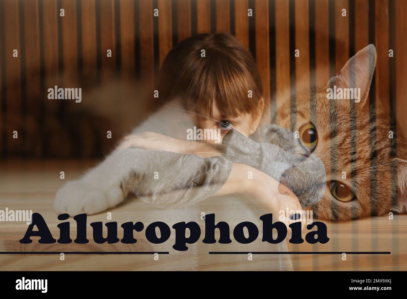 Little girl suffering from ailurophobia indoors. Irrational fear of cats Stock Photo - Alamy