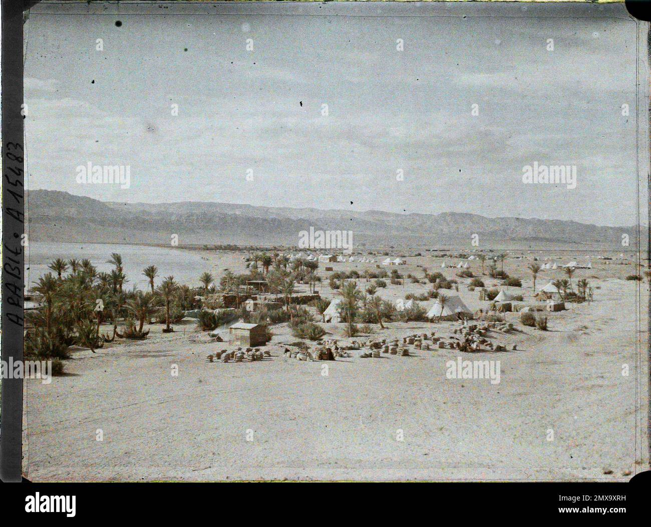 Aqaba, Arabia (current Jordan) The Anglo-Arab Forces camp, on the banks ...