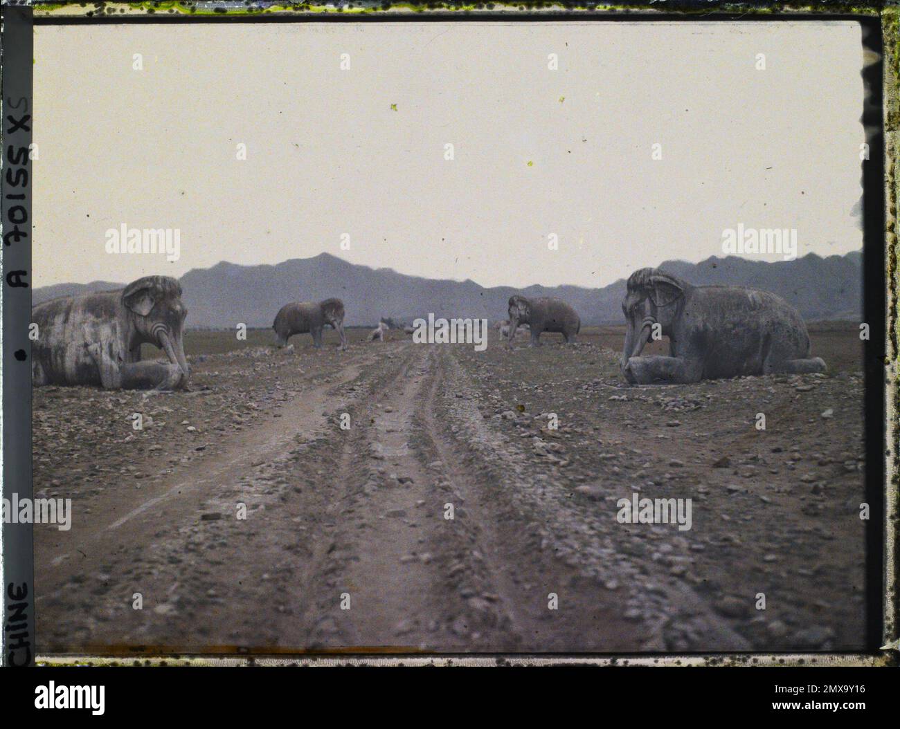 Changping, China Ming Shisanling ("Thirteen Ming Tombs") , 1912 - China ...