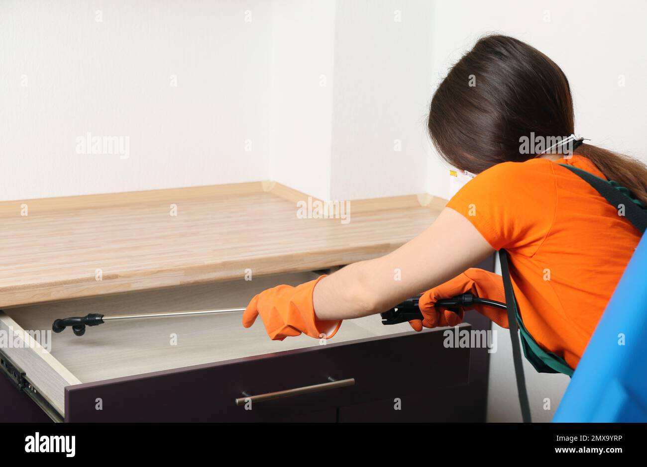 Pest control worker spraying pesticide on furniture indoors Stock Photo ...