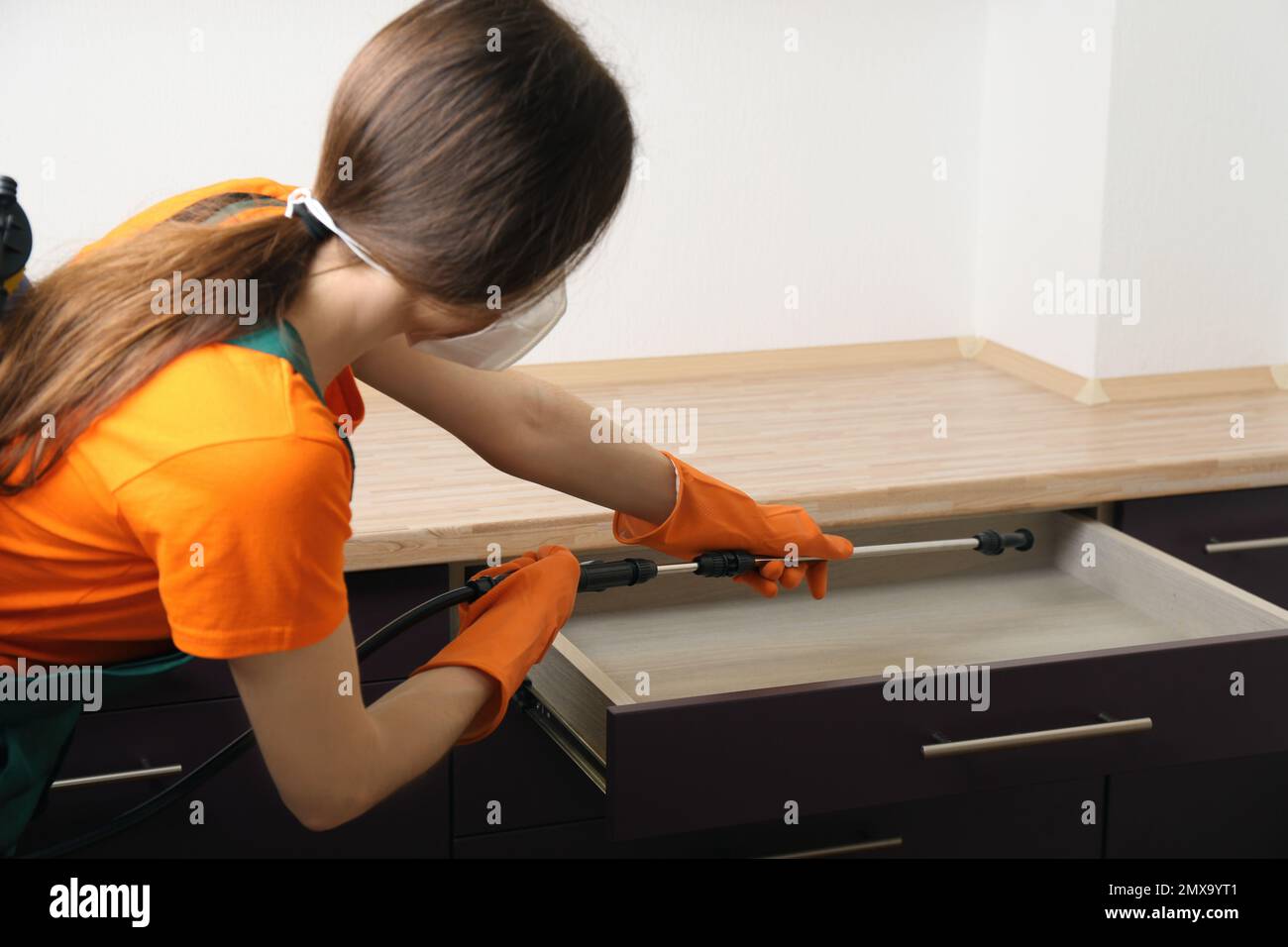 Pest control worker spraying pesticide on furniture indoors Stock Photo ...