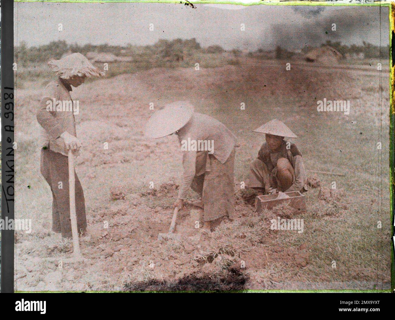 Tonkin, Indochina gravediggers raising the tombs during a funeral ...