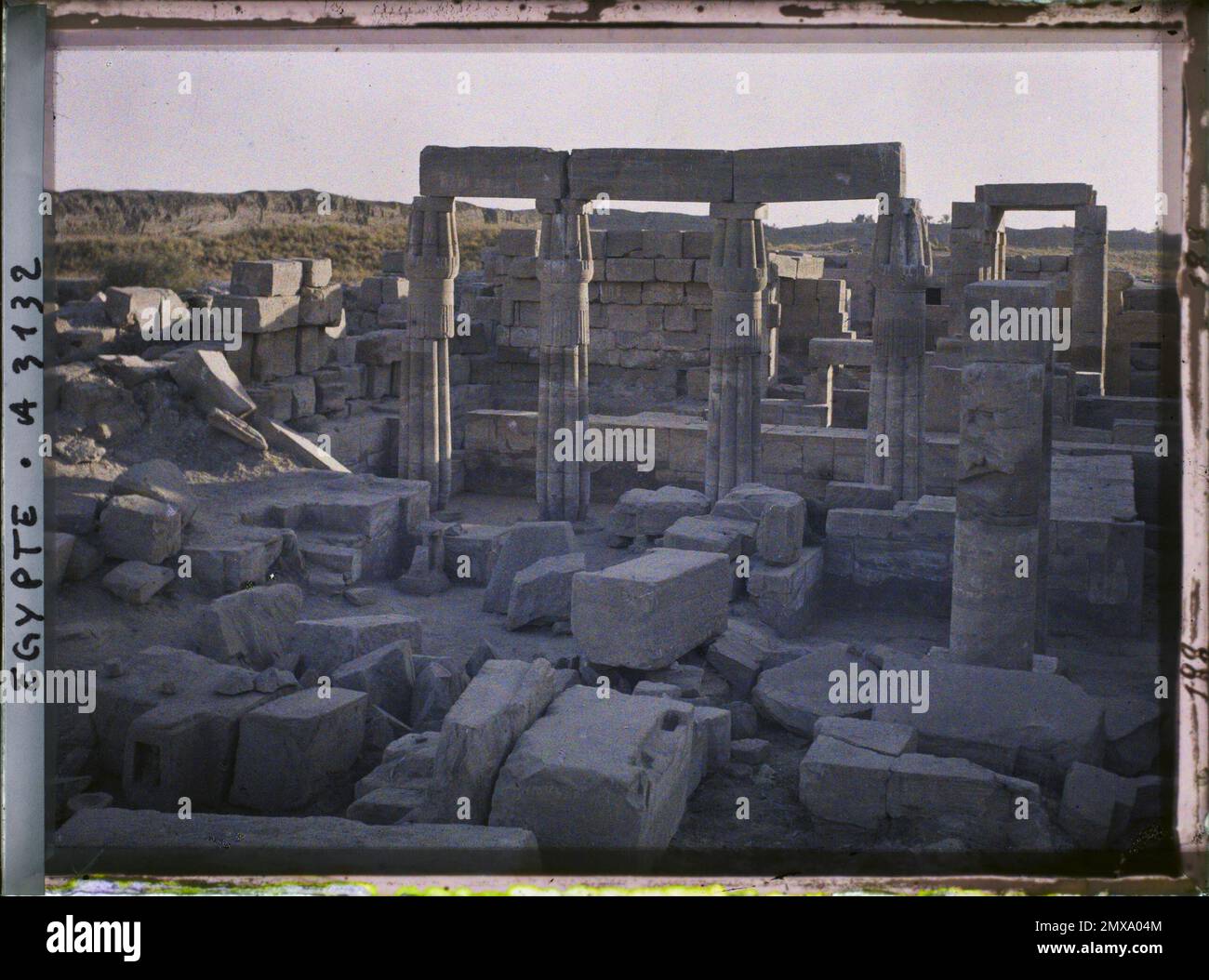 Karnak, Egypt, Africa Columns of the "Botanical Garden" of the Akh ...
