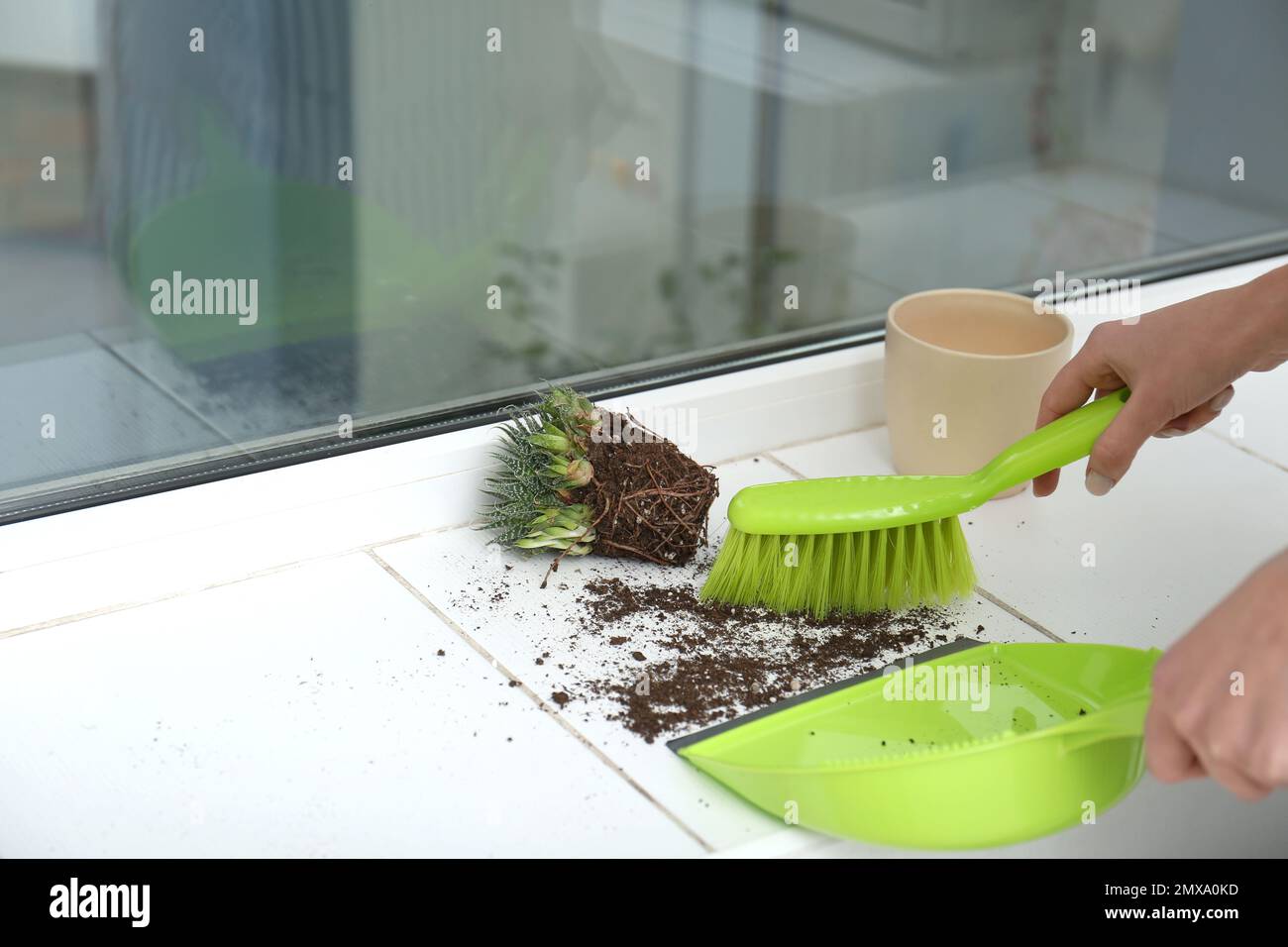 Woman sweeping away scattered soil from window sill with brush, closeup ...