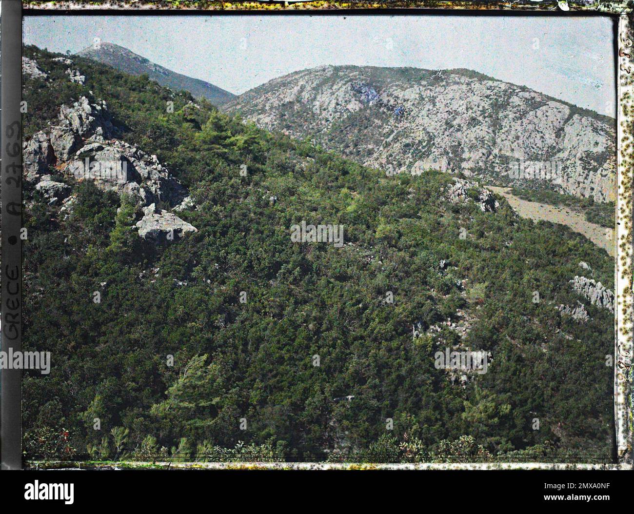 Surroundings of Athens, Greece the flanks of Parnès, one of the hills ...